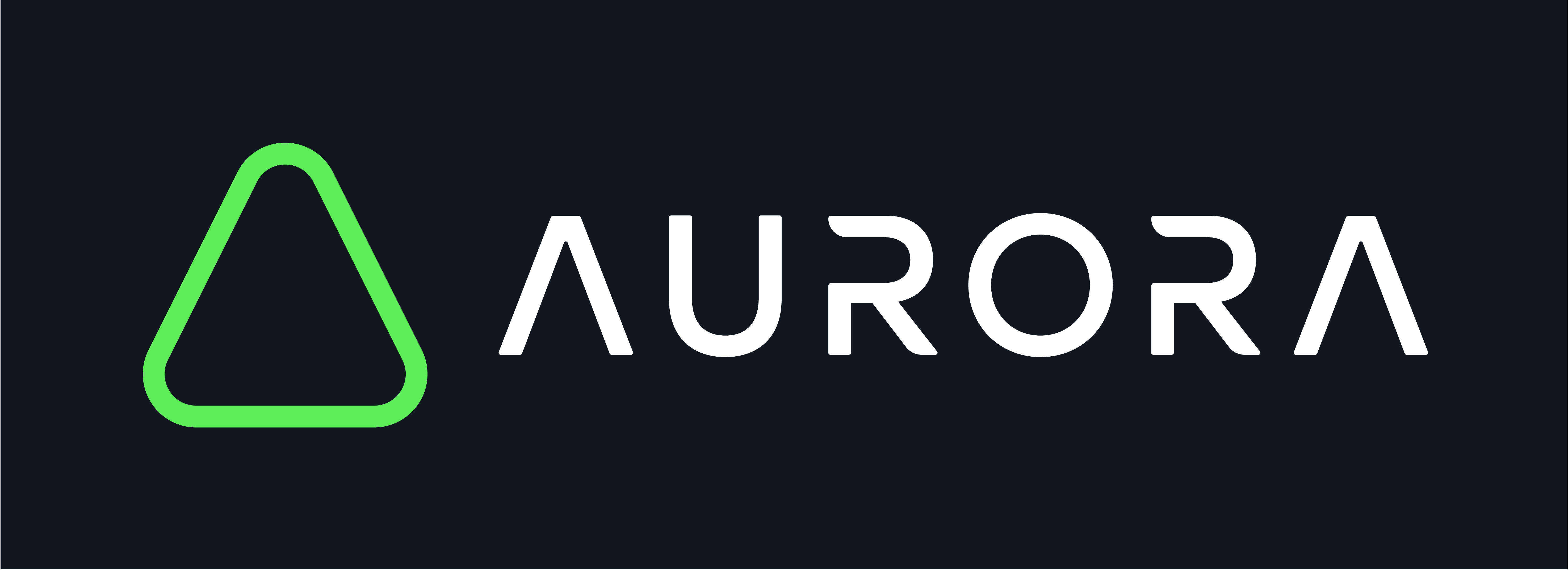 Aurora - brand identity, guideline and assets.