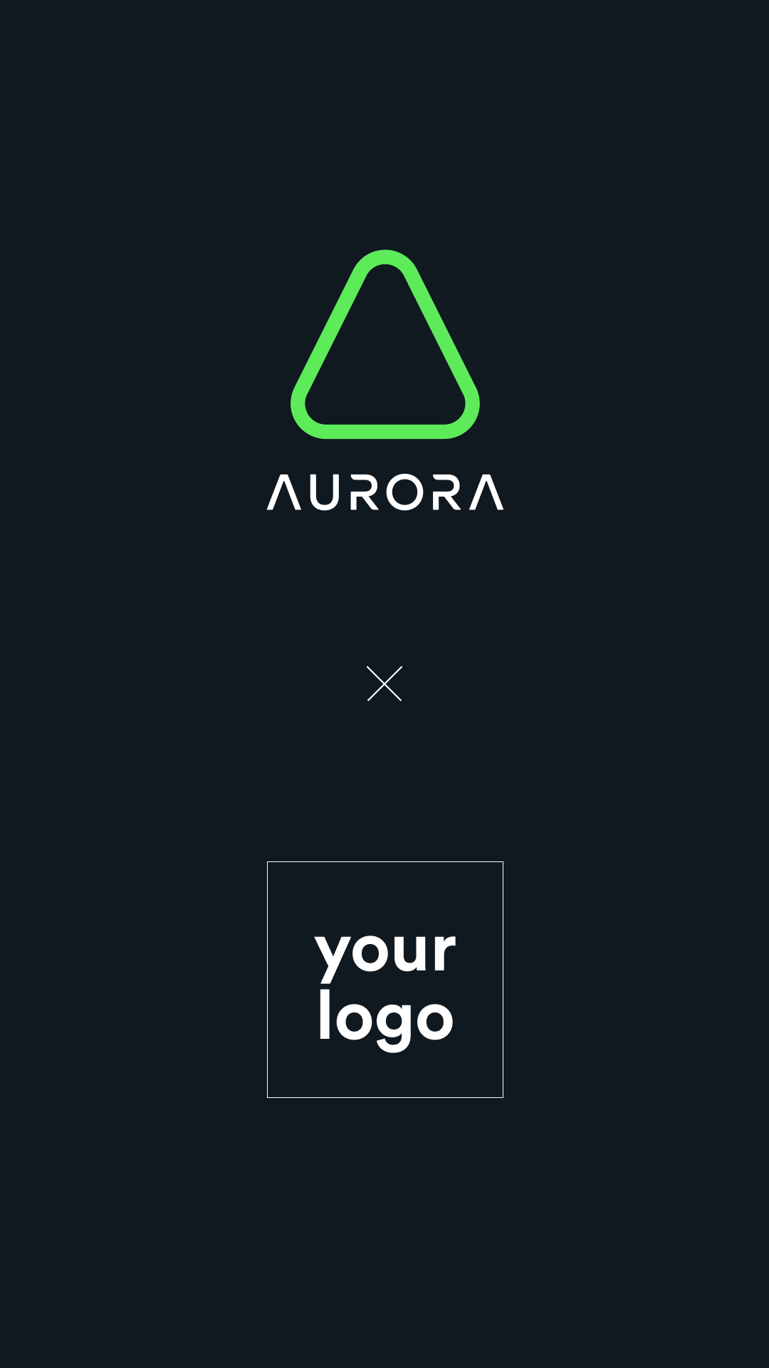 Aurora - brand identity, guideline and assets.