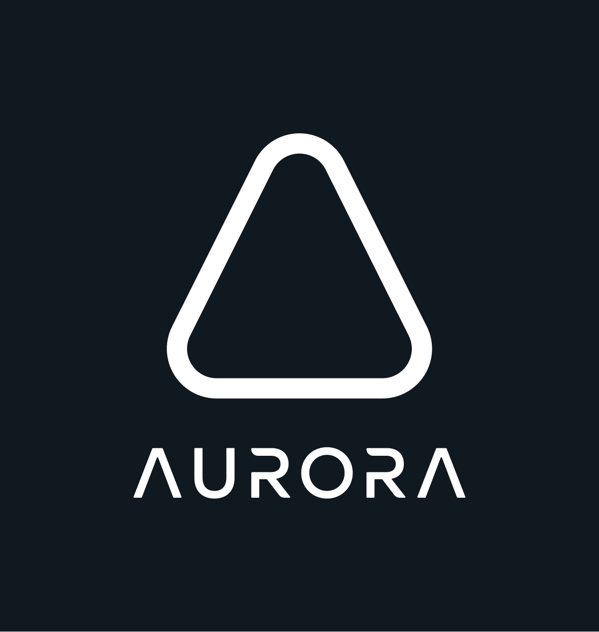 Aurora - brand identity, guideline and assets.