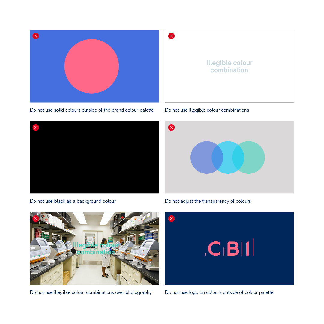 CBI Brand Guidelines