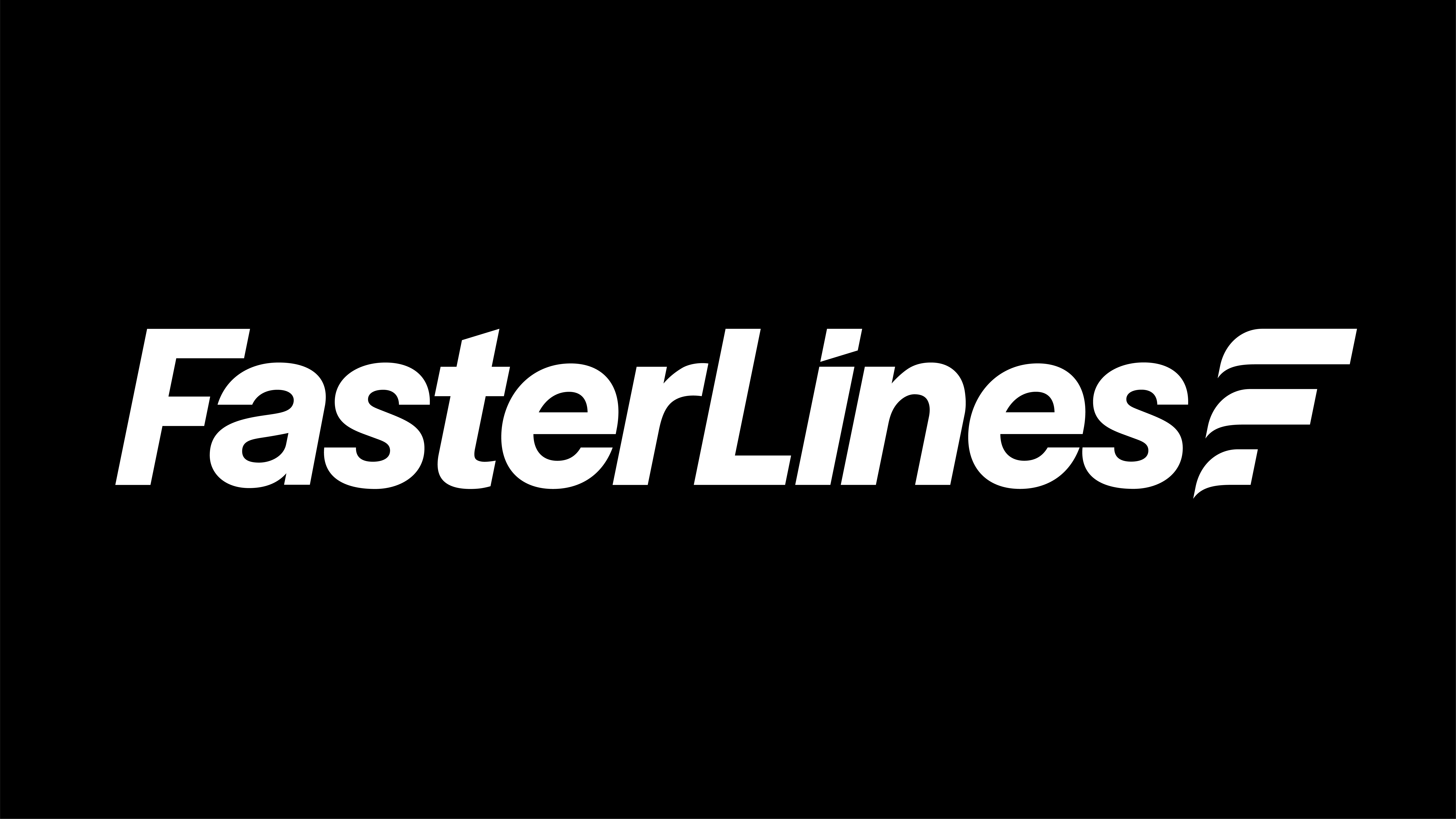 FasterLines - brand identity, guideline and assets.