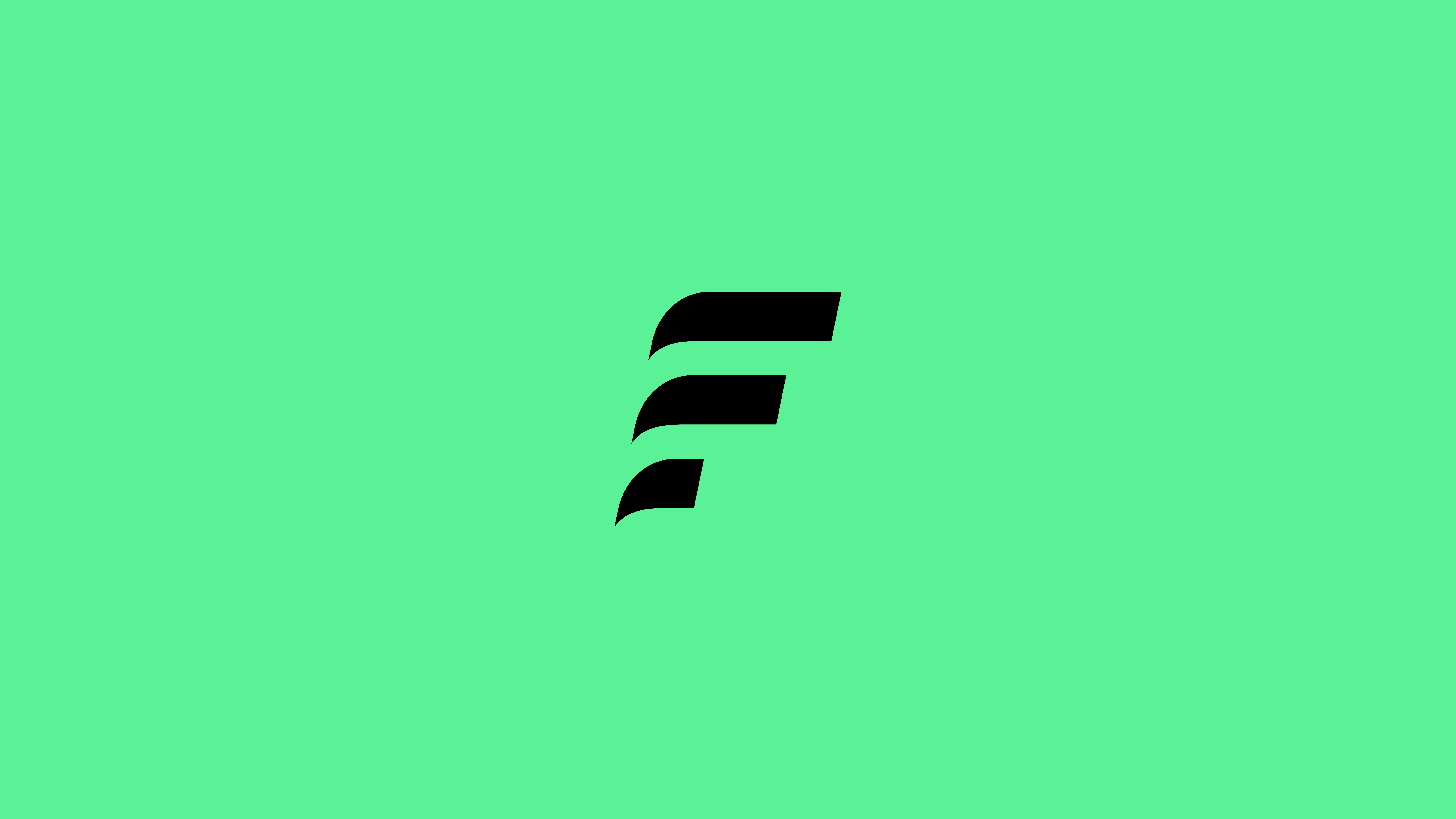 FasterLines - brand identity, guideline and assets.
