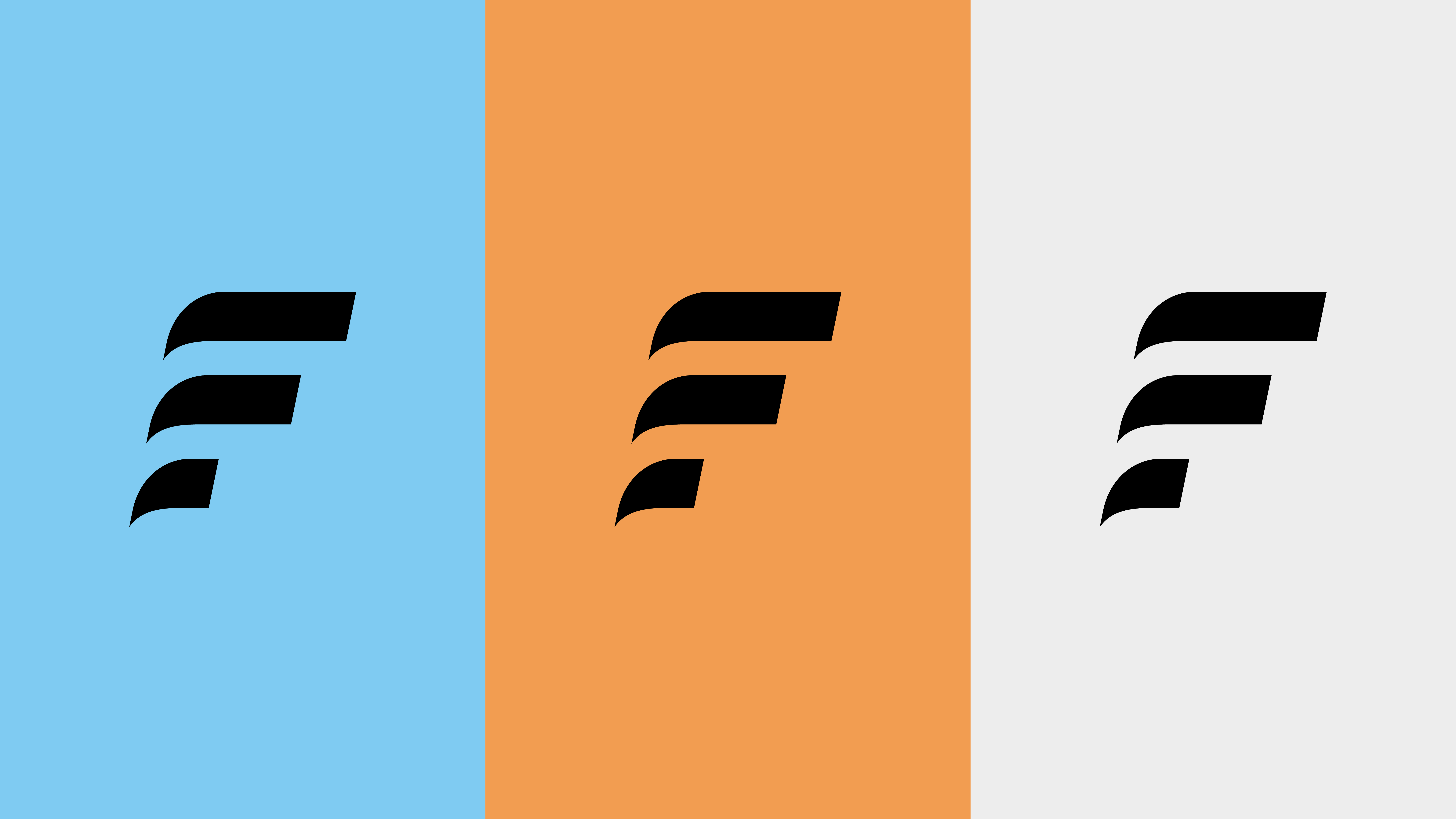 FasterLines - brand identity, guideline and assets.