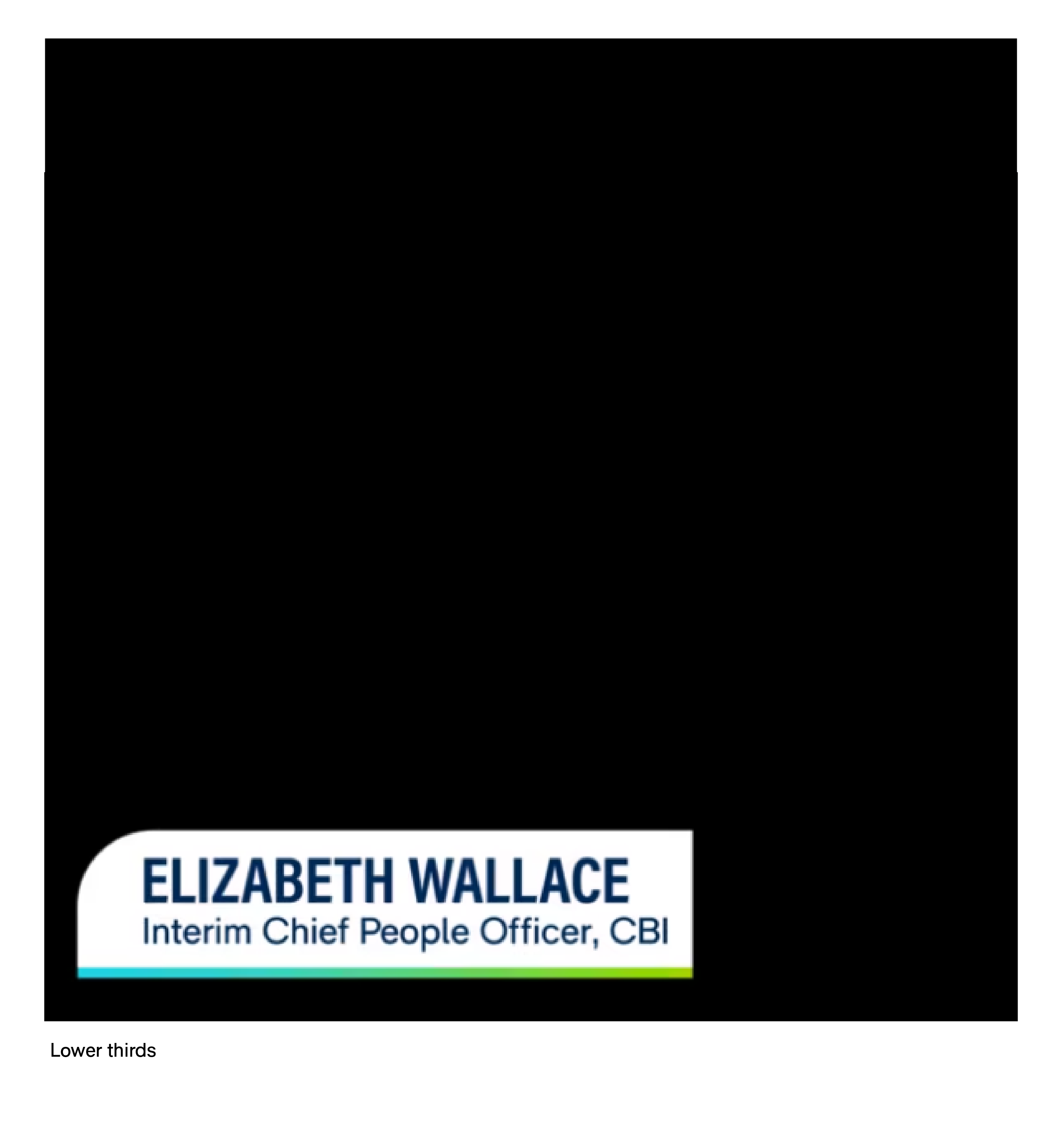 CBI Brand Guidelines