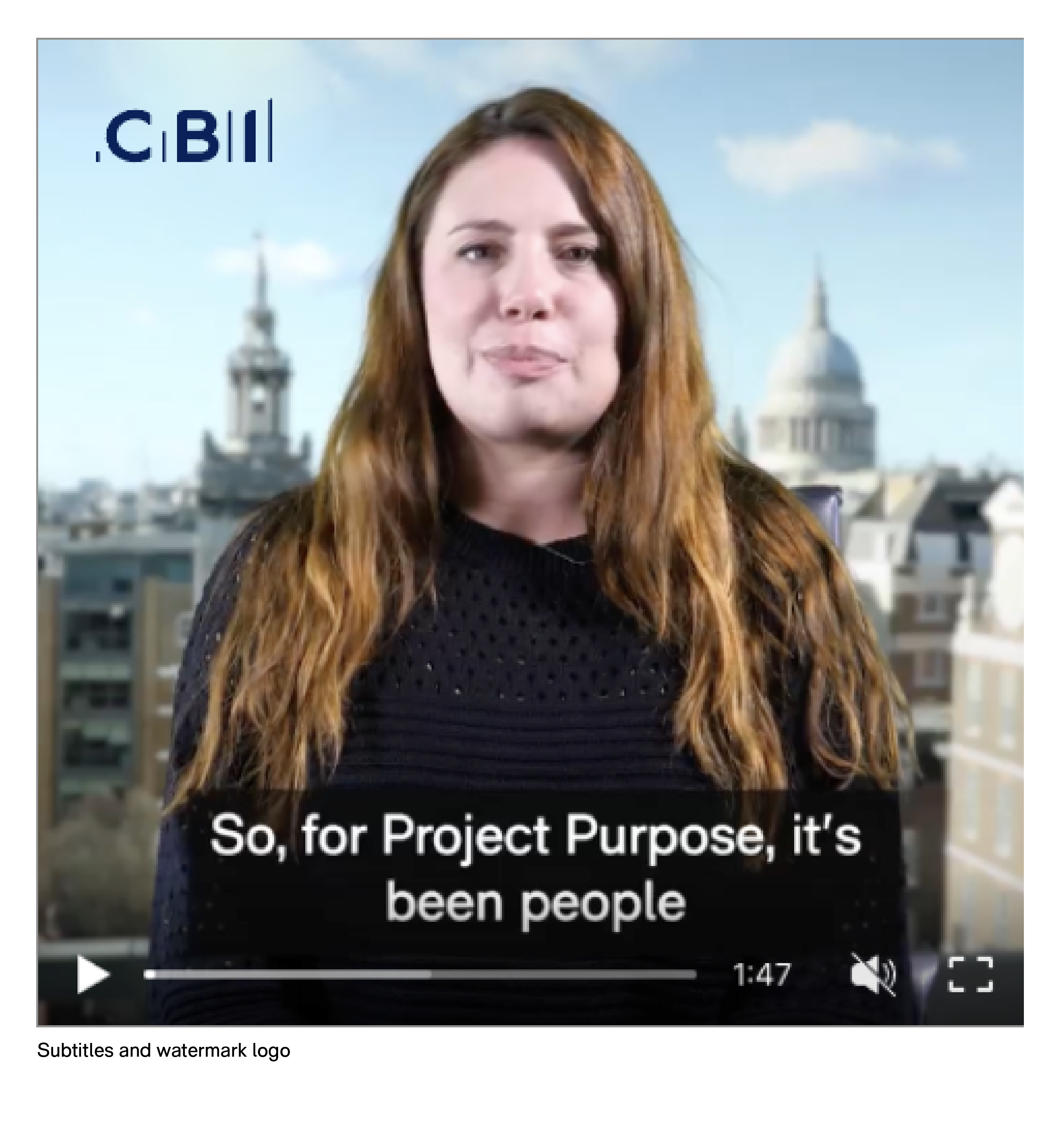 CBI Brand Guidelines