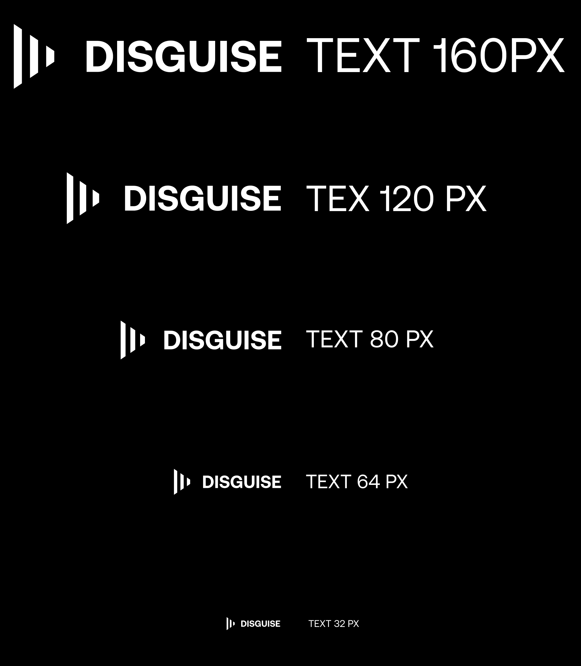 Disguise - brand identity, guideline and assets.