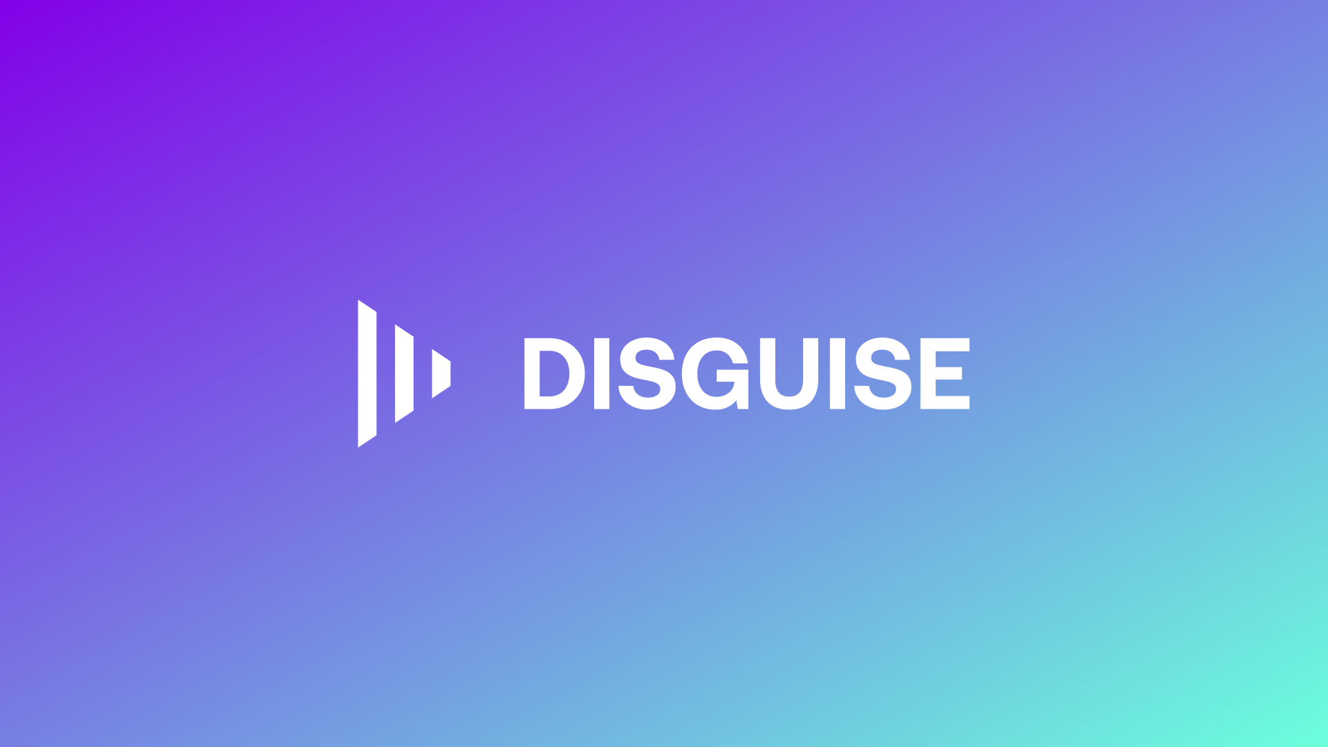 Disguise - brand identity, guideline and assets.