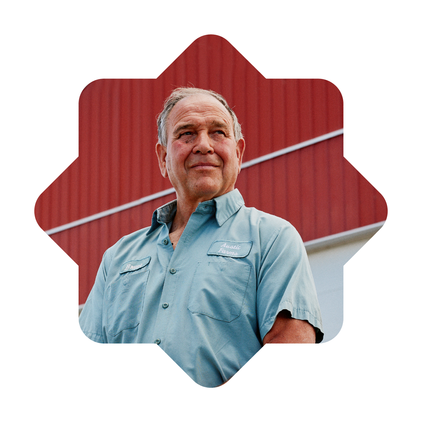 Martins Point - brand identity, guideline and assets.