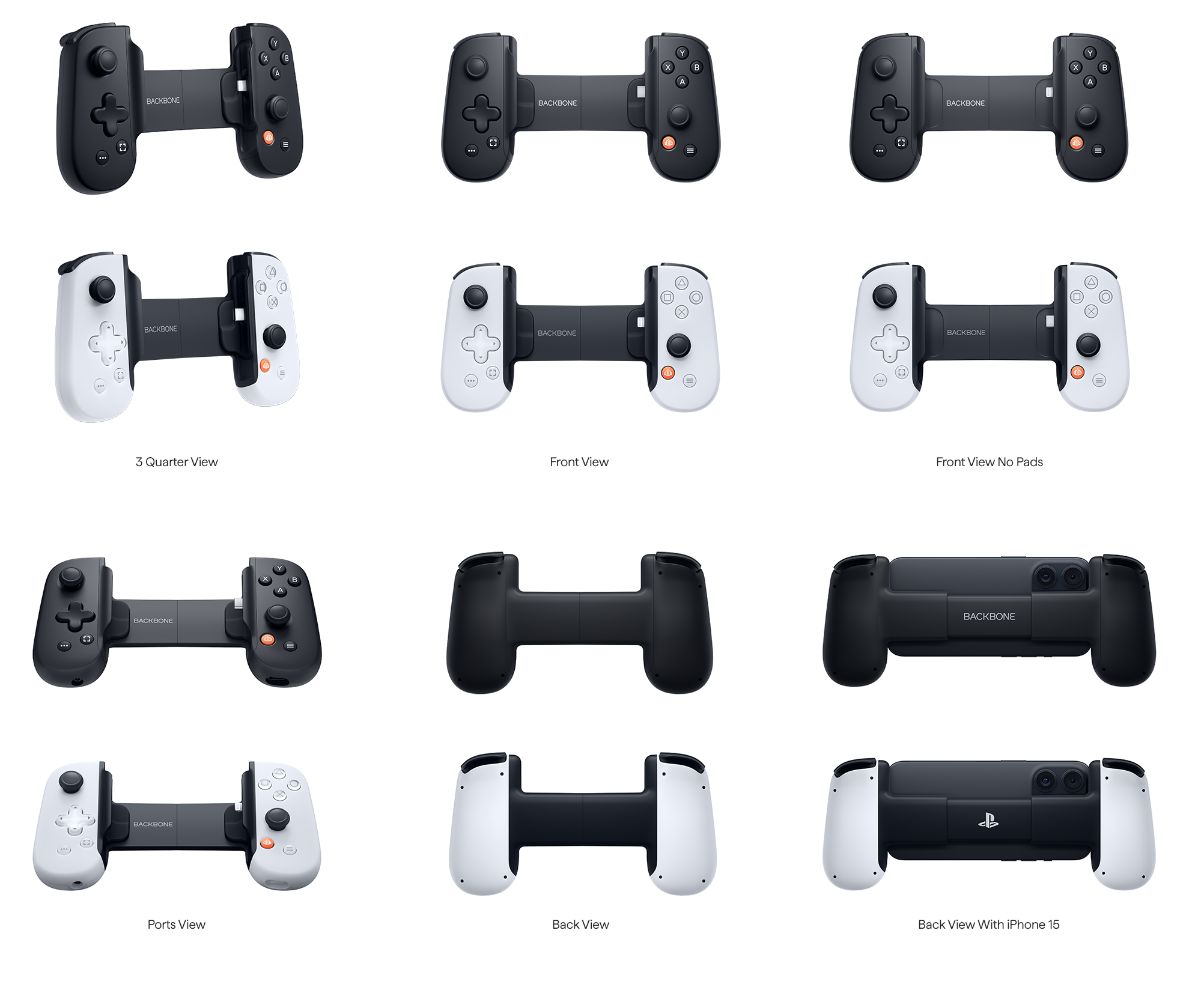 Backbone - brand identity, guideline and assets.