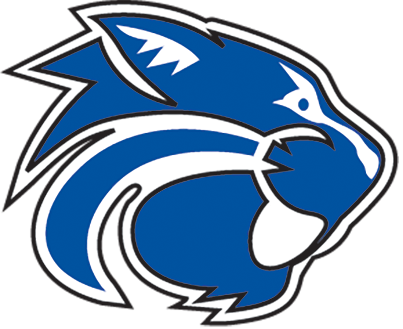 Henry County Schools - brand identity, guideline and assets.