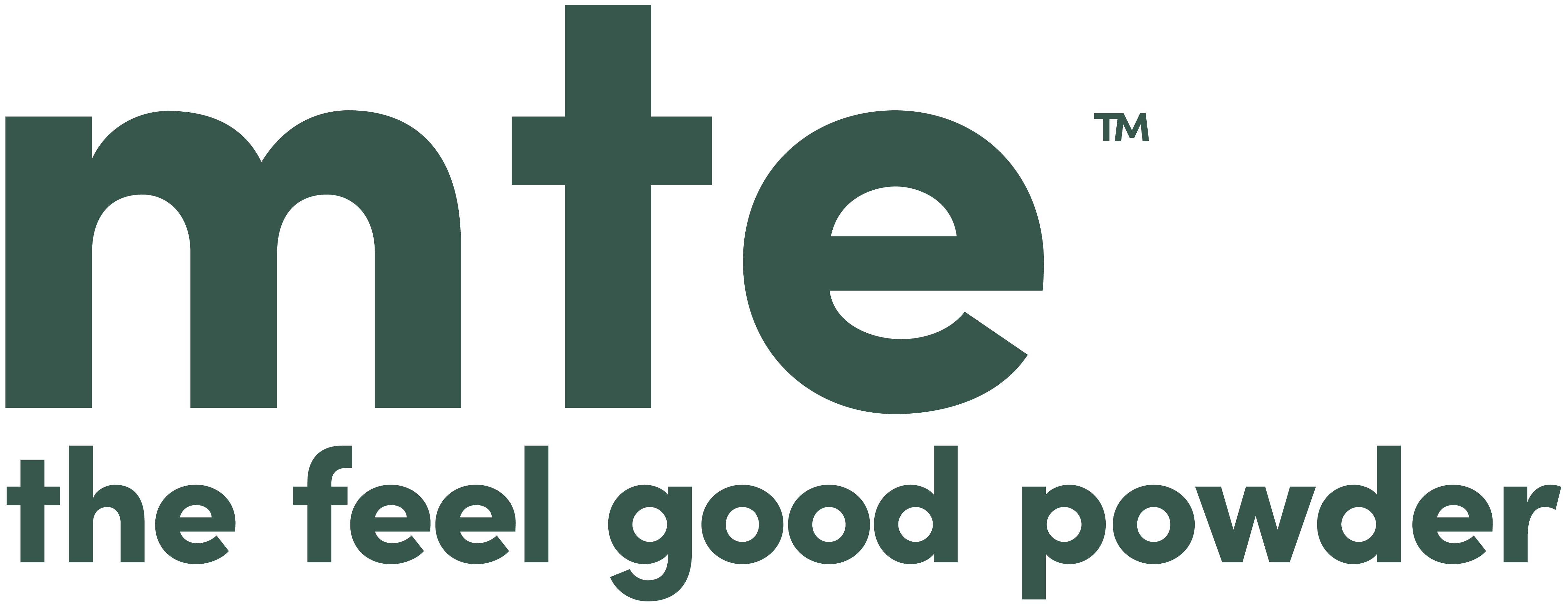 MTE - brand identity, guideline and assets.