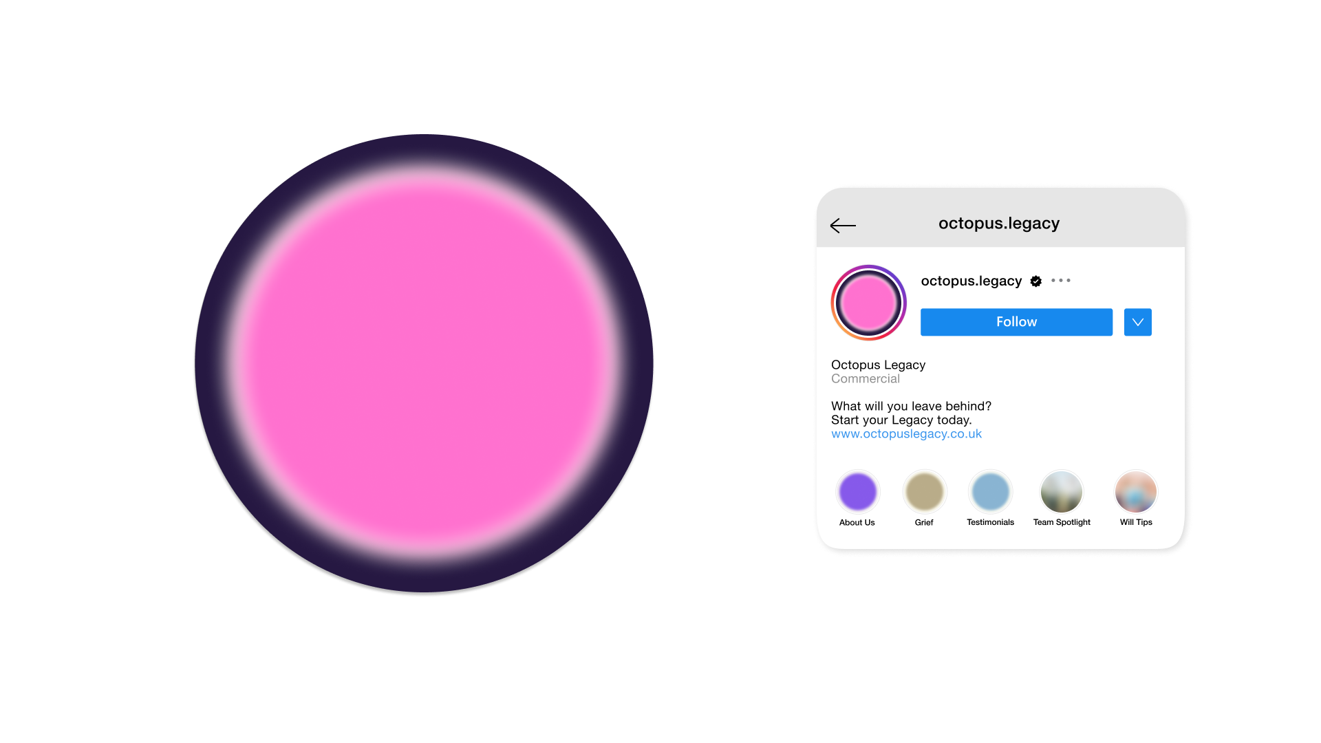 Octopus Legacy - brand identity, guideline and assets.