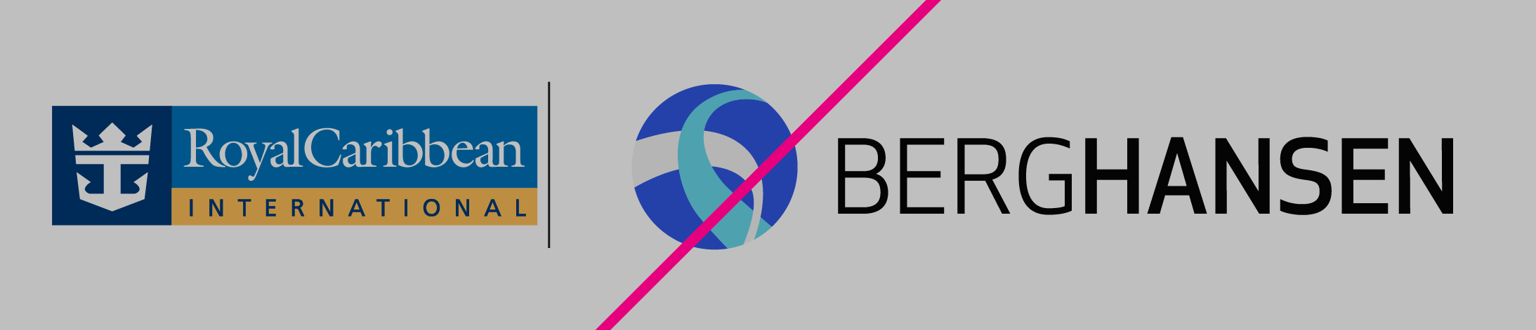 Berg-Hansen Brandguide