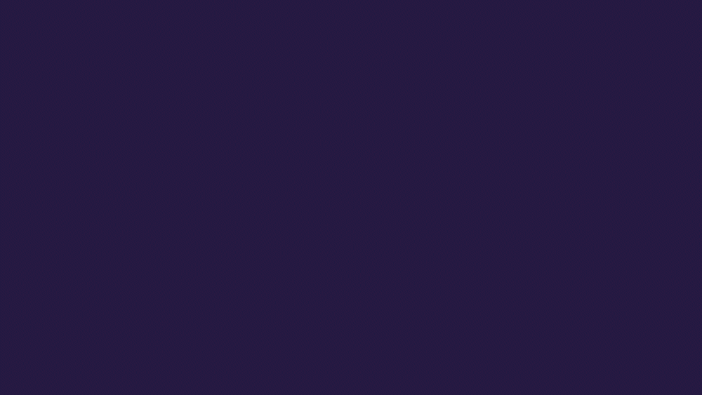 Octopus Legacy - brand identity, guideline and assets.