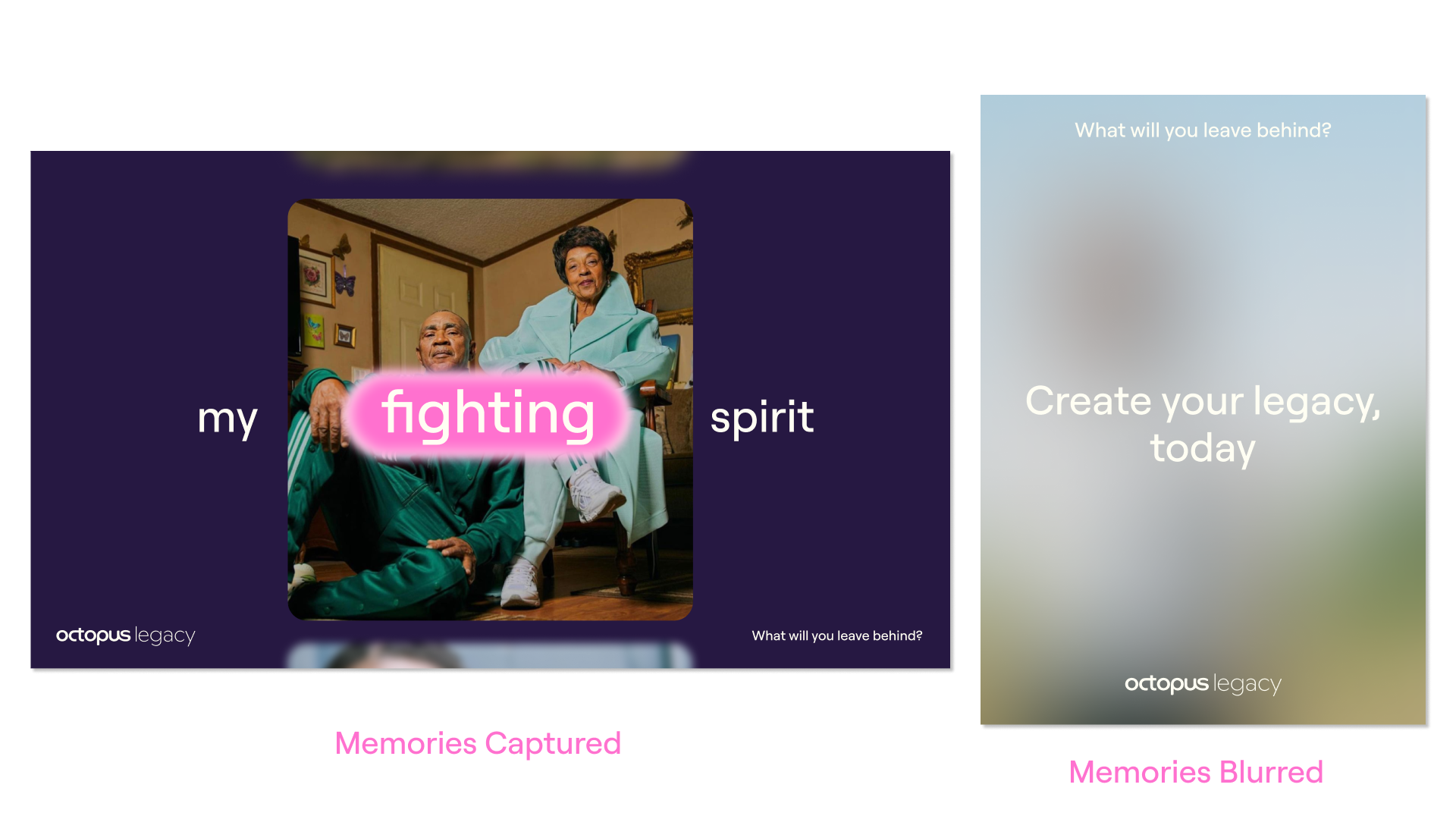 Octopus Legacy - brand identity, guideline and assets.