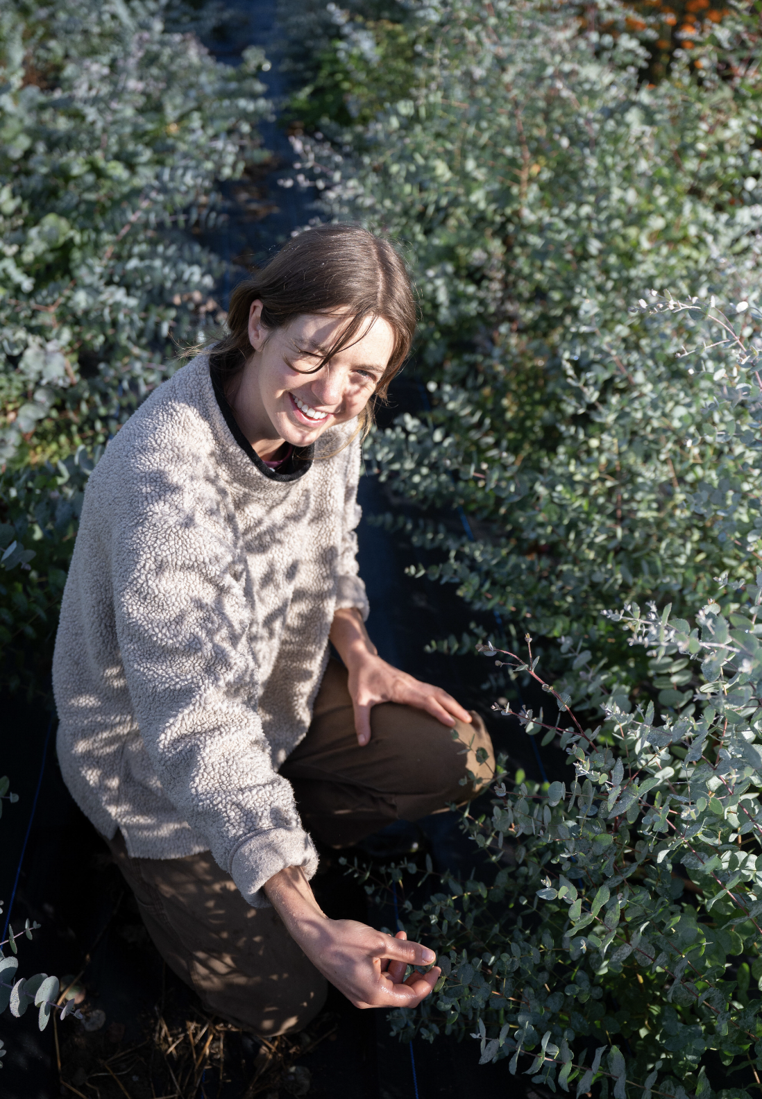 Martins Point - brand identity, guideline and assets.