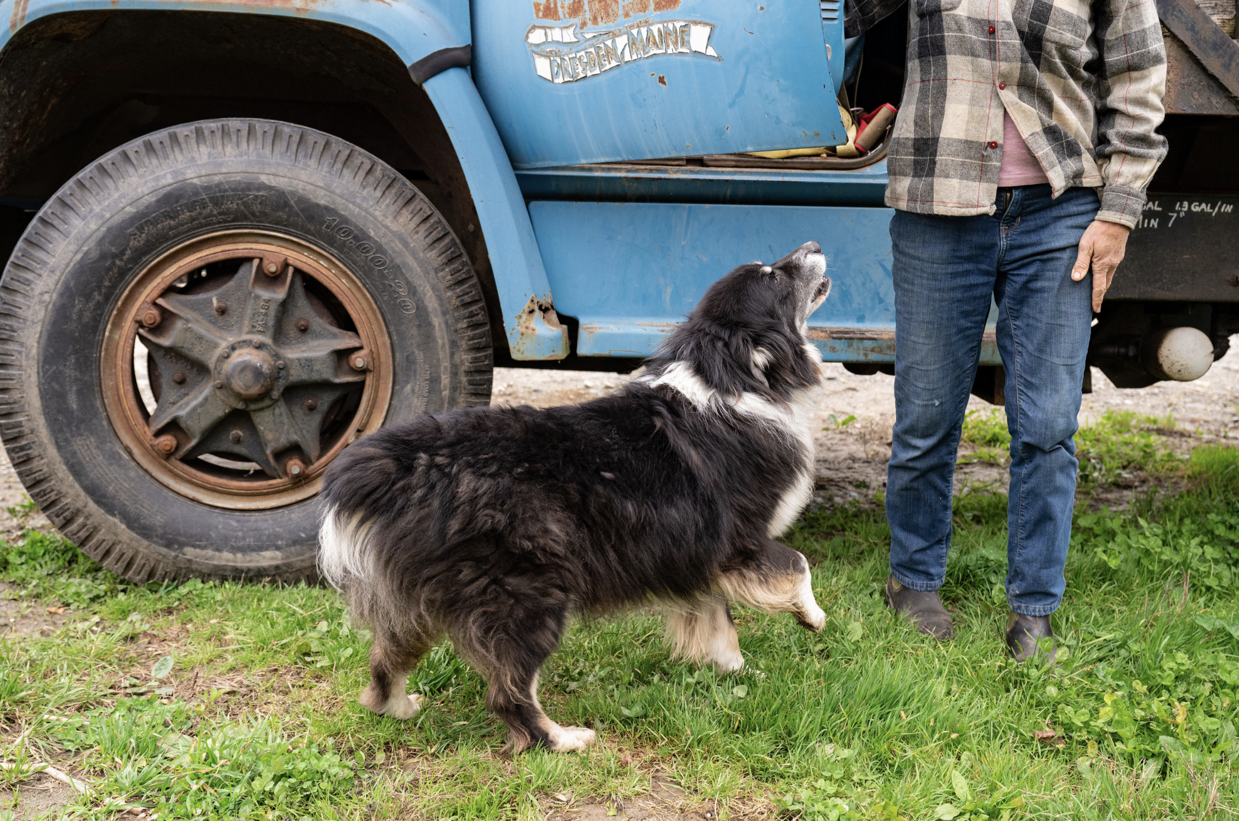 Martins Point - brand identity, guideline and assets.