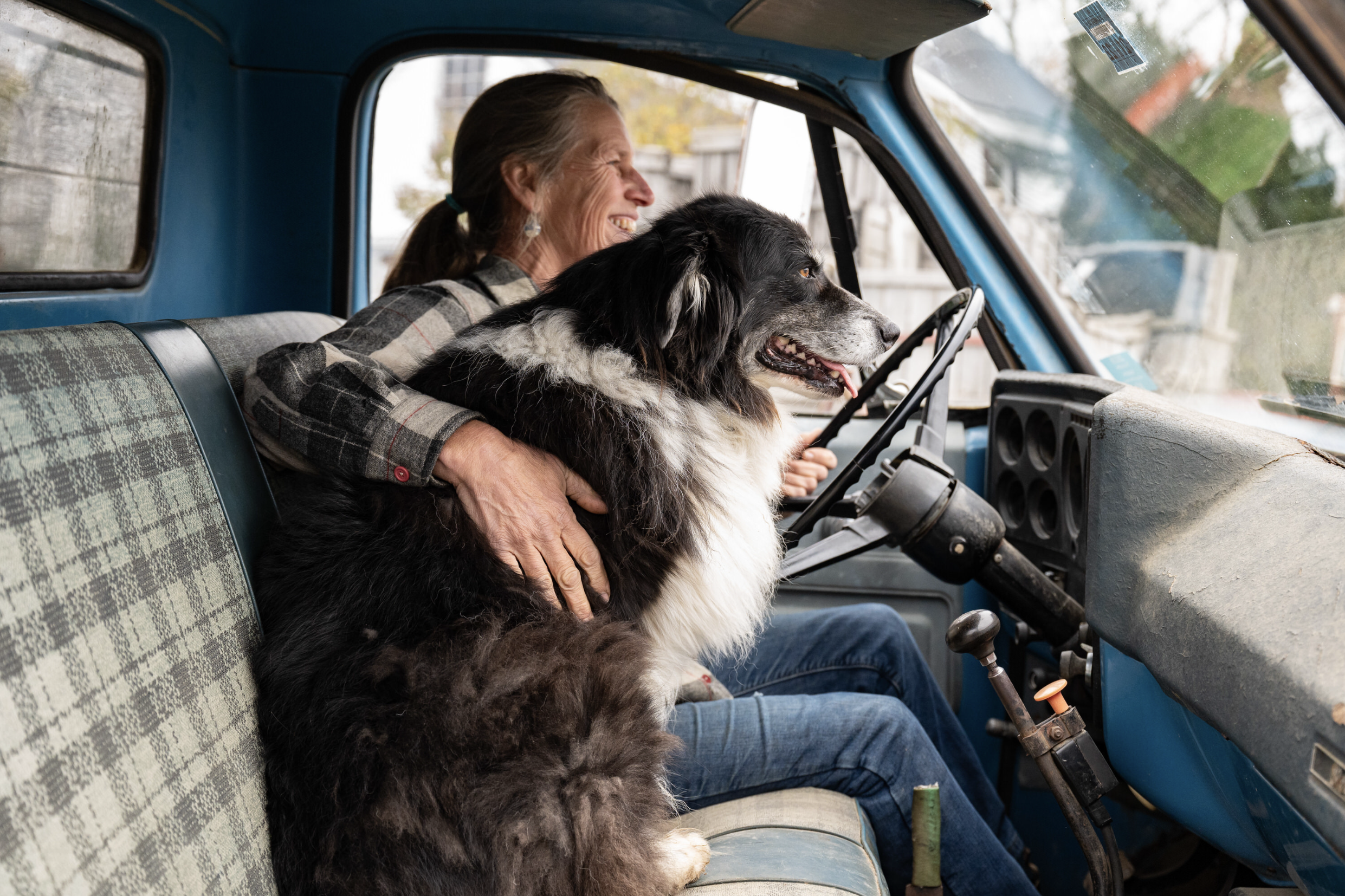 Martins Point - brand identity, guideline and assets.