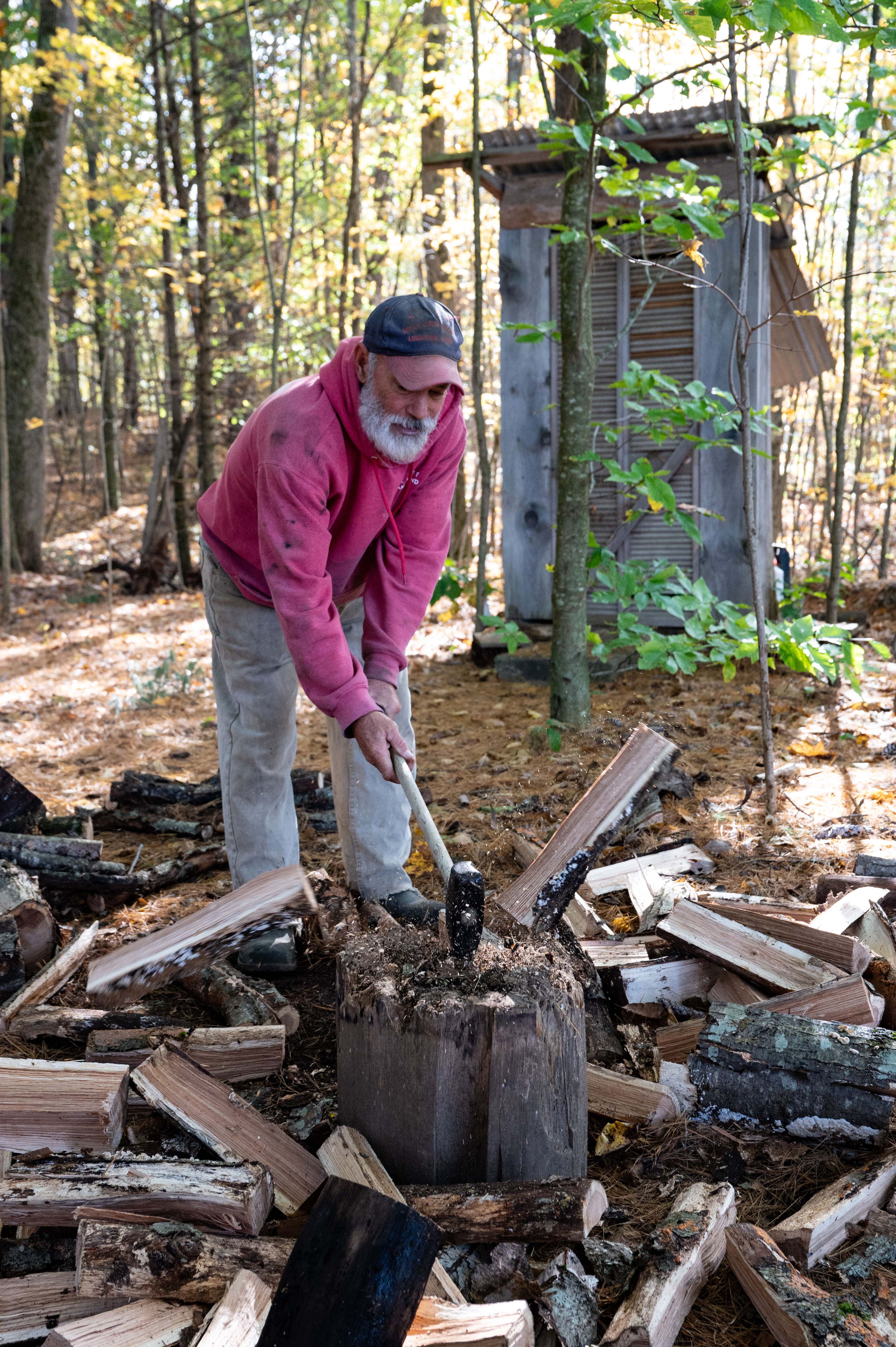 Martins Point - brand identity, guideline and assets.