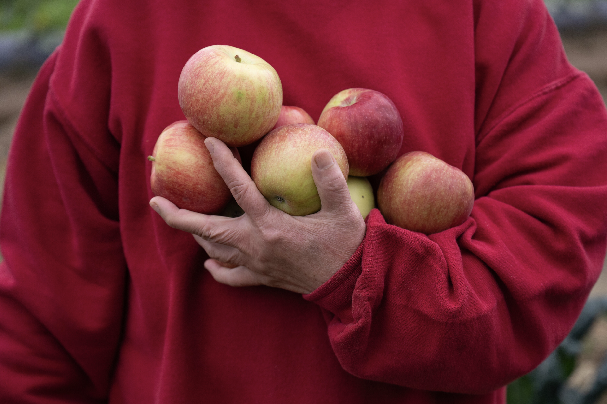 Martins Point - brand identity, guideline and assets.