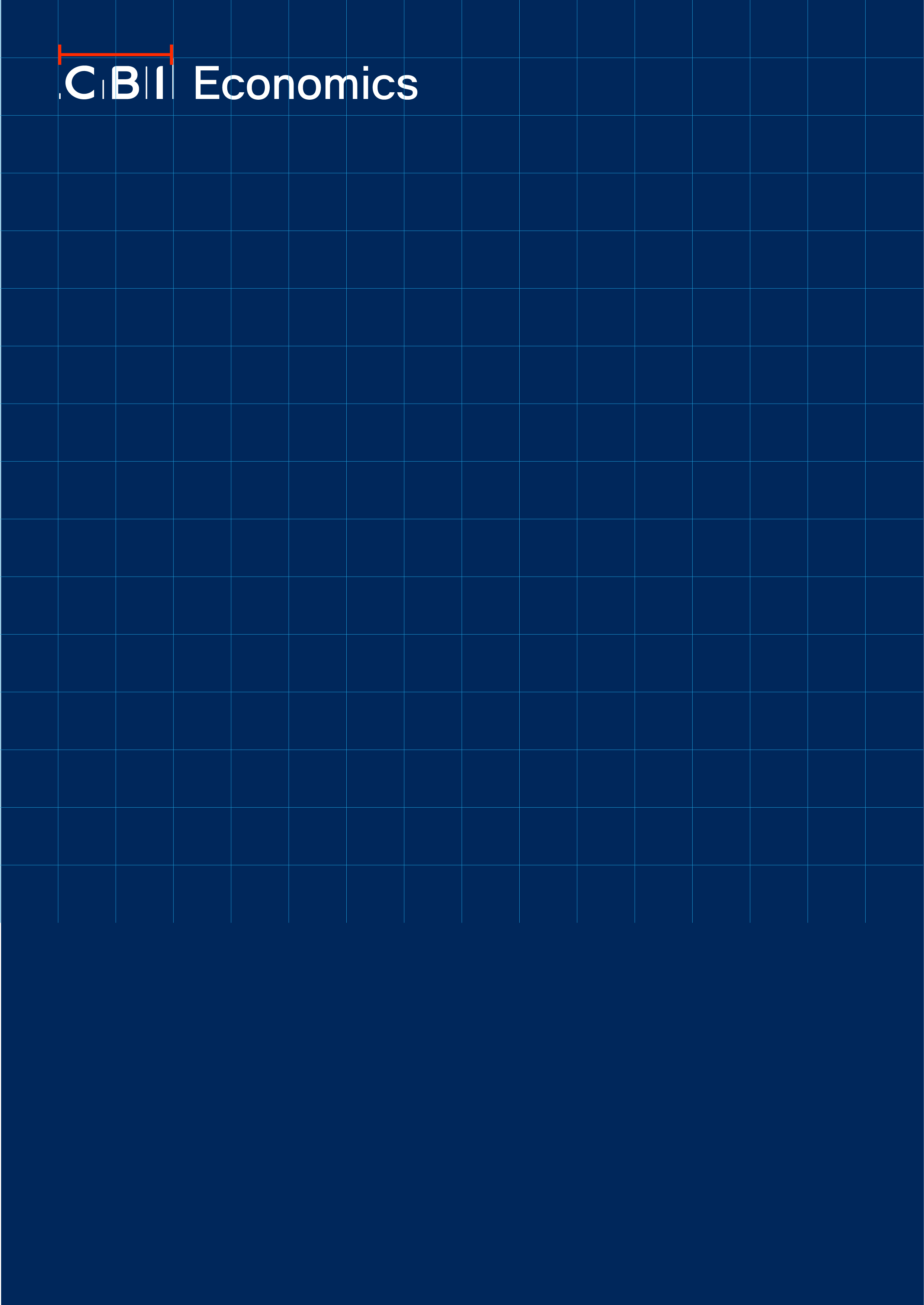 CBI Brand Guidelines