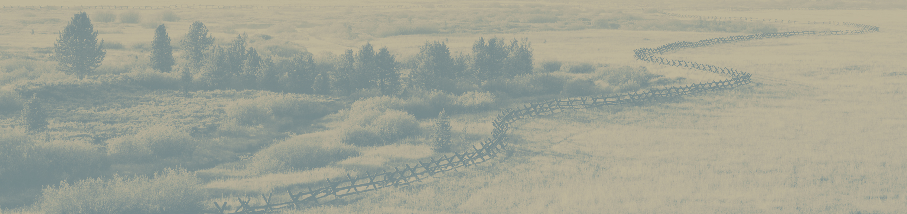 Vote Idaho - brand identity, guideline and assets.