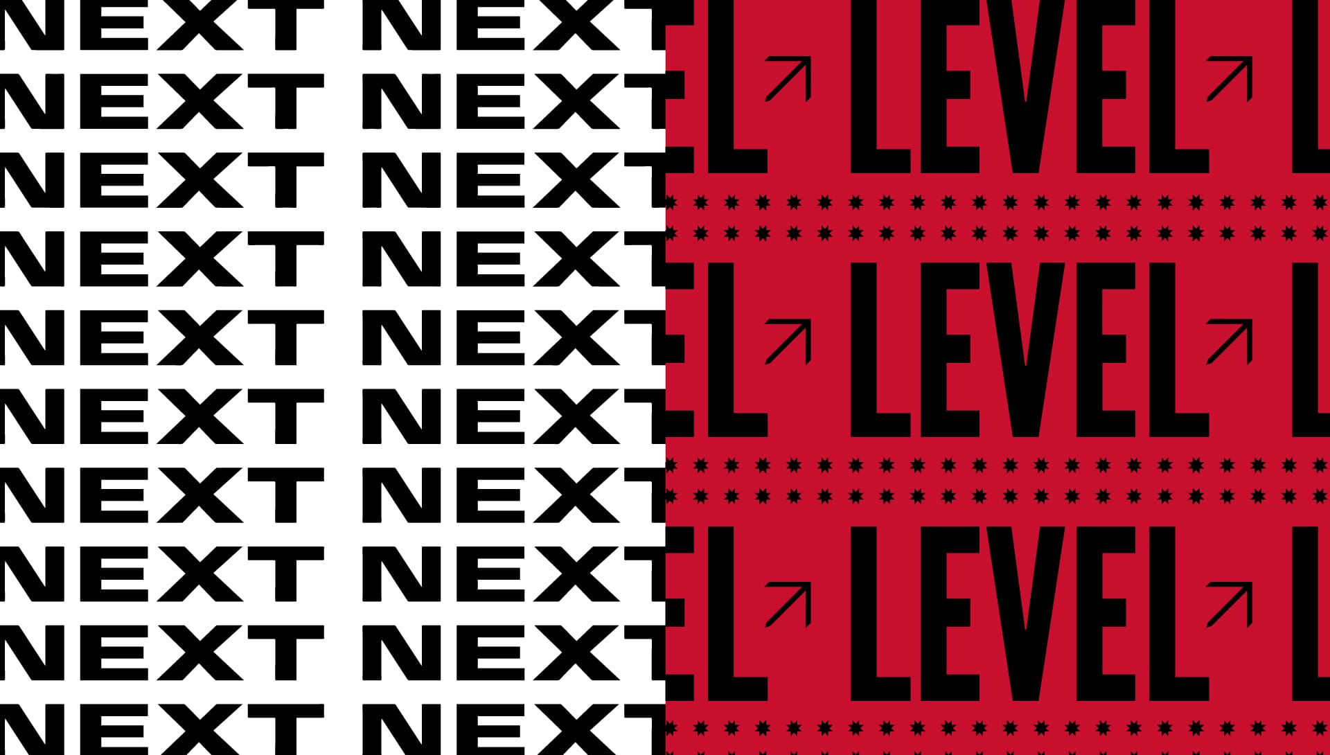UH Next Level - brand identity, guideline and assets.