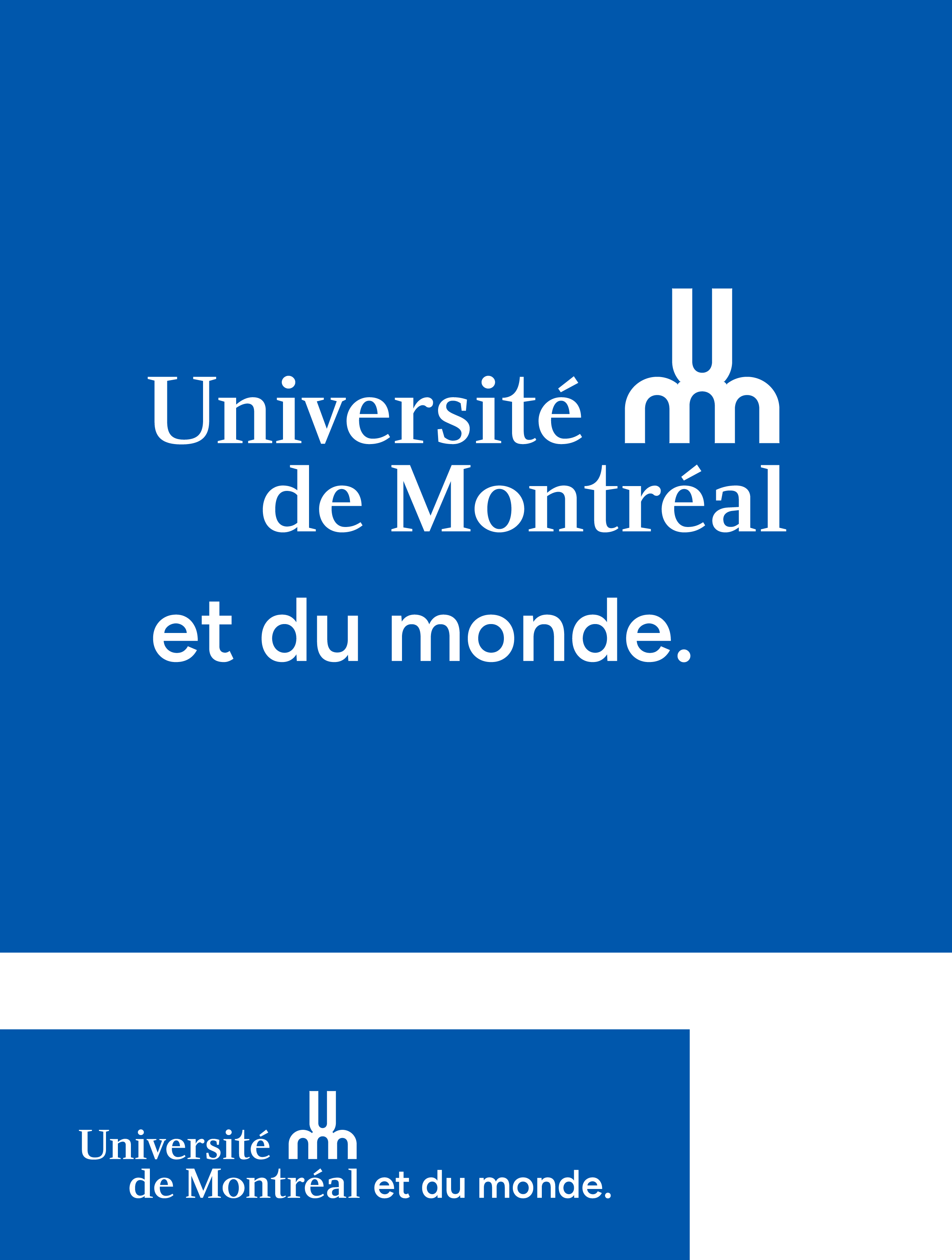 umontreal.ca - brand identity, guideline and assets.