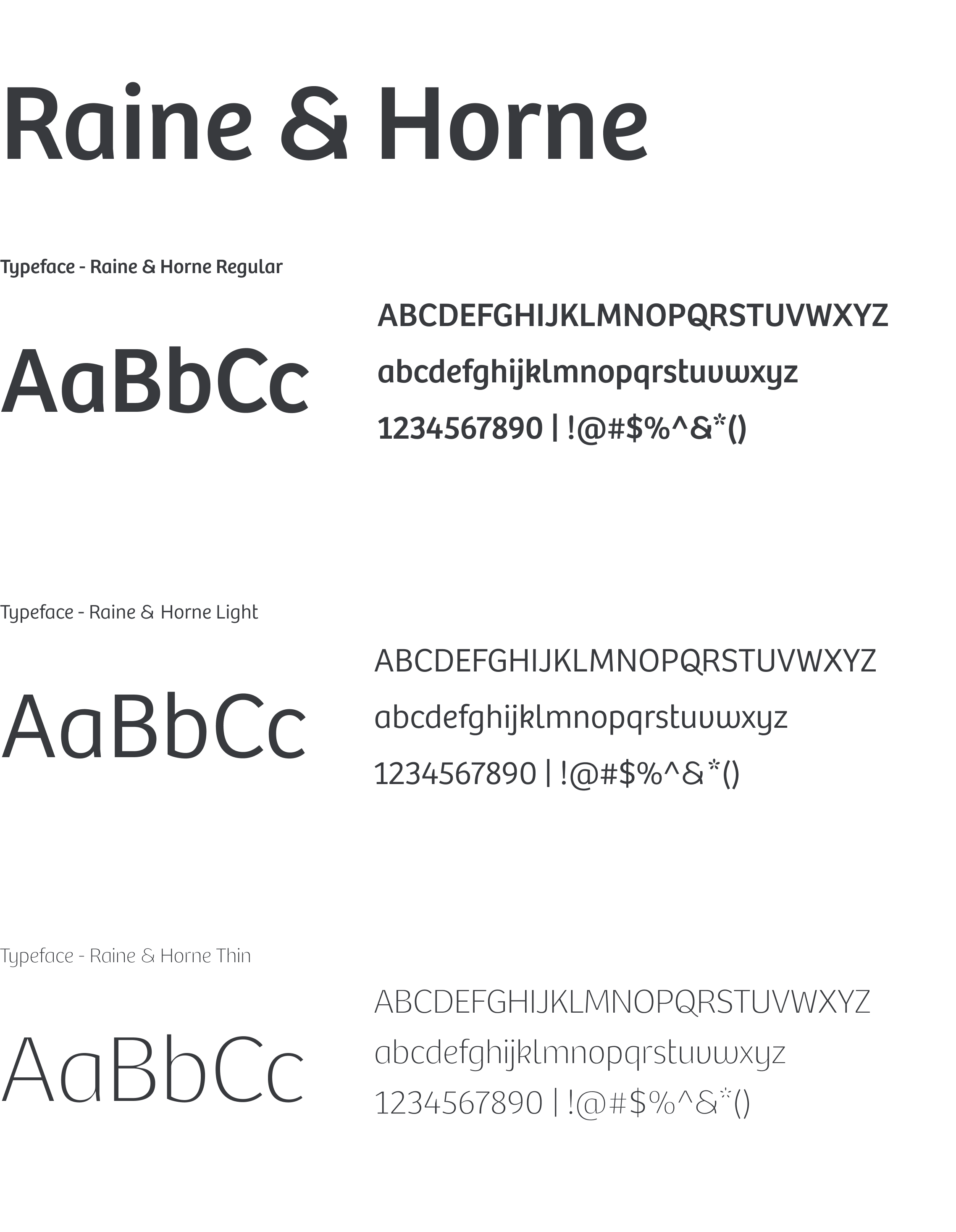 Raine & Horne Residential Brand Guidelines - brand identity, guideline and assets.