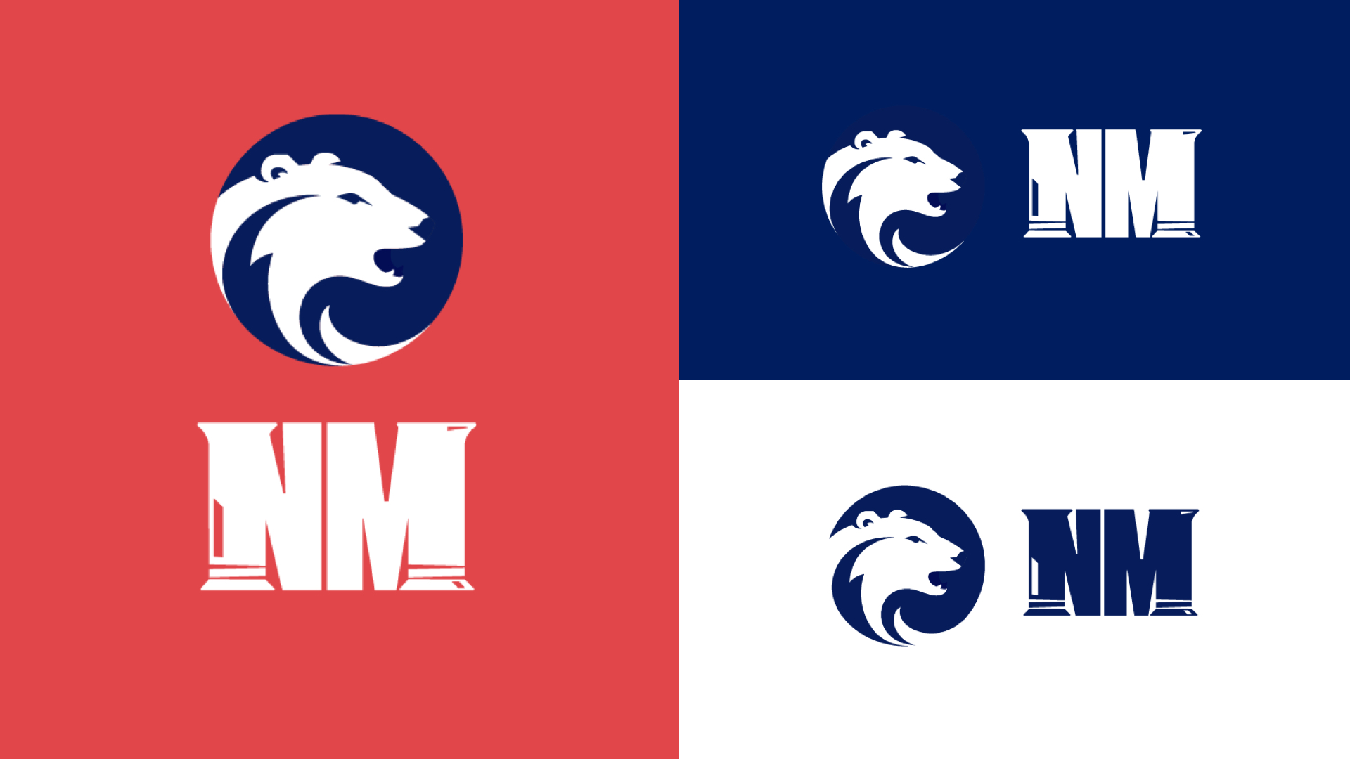 Norges Håndballforbund - brand identity, guideline and assets.