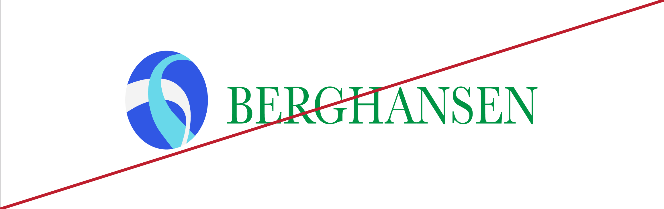 Berg-Hansen Brandguide