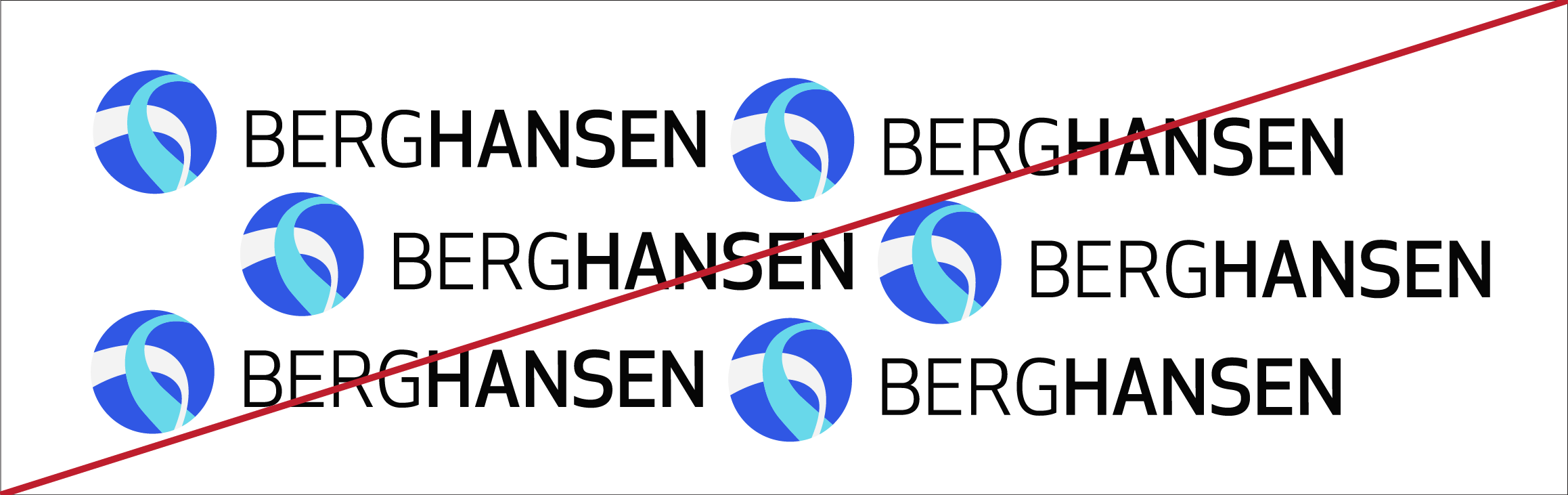 Berg-Hansen Brandguide