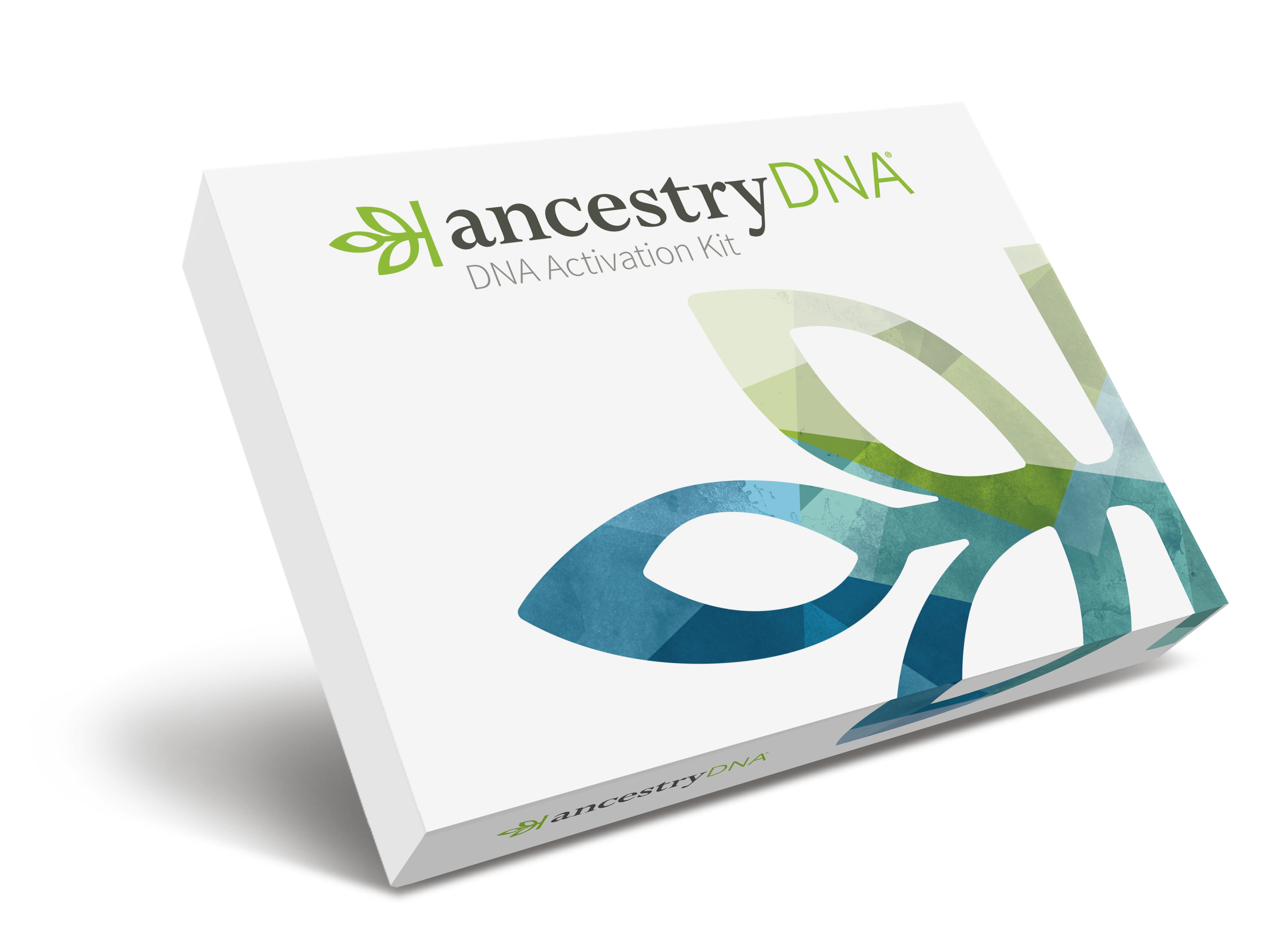Ancestry Brand Guidelines 2025 - brand identity, guideline and assets.