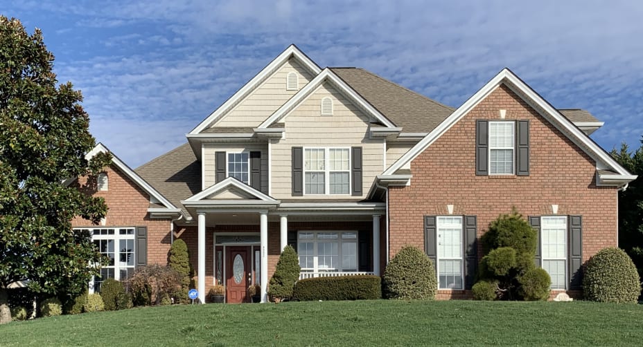 project brick bronze guide