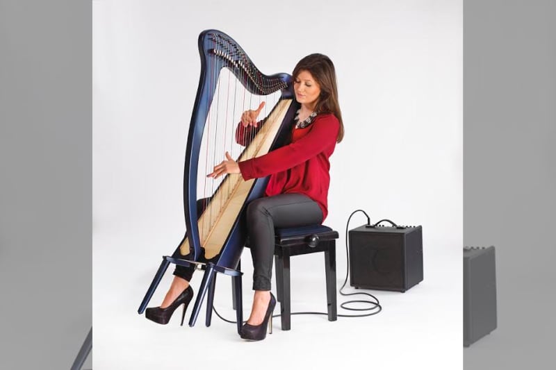 Supplier Stories: Iona Thomas' Journey from Professional Concert Player ...