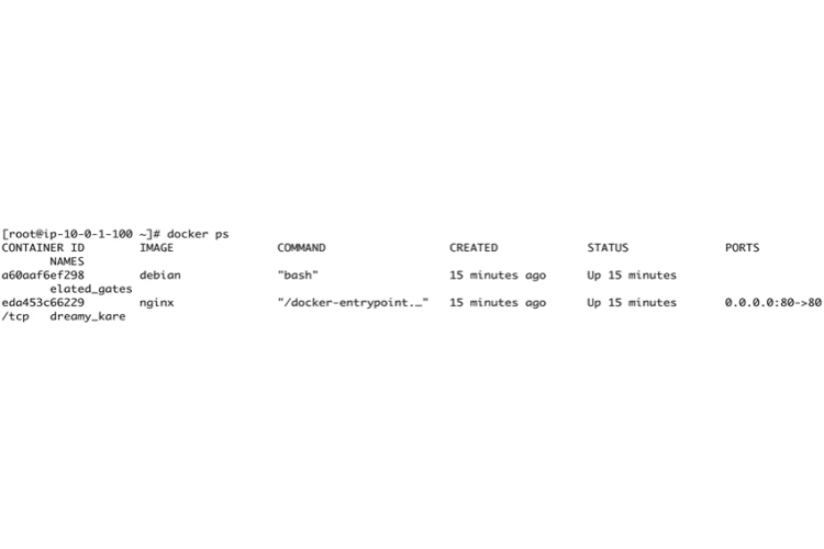 What is difference between docker attach and exec? | Bright Softwares What is difference between docker attach and exec? | Bright Softwares
