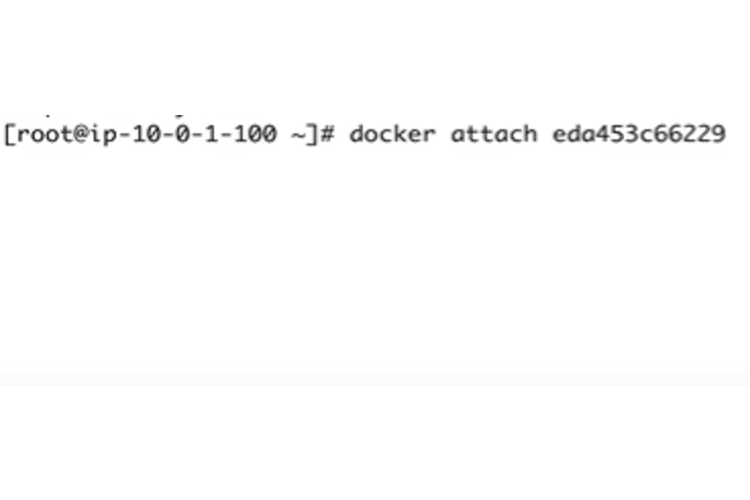 What is difference between docker attach and exec? | Bright Softwares What is difference between docker attach and exec? | Bright Softwares
