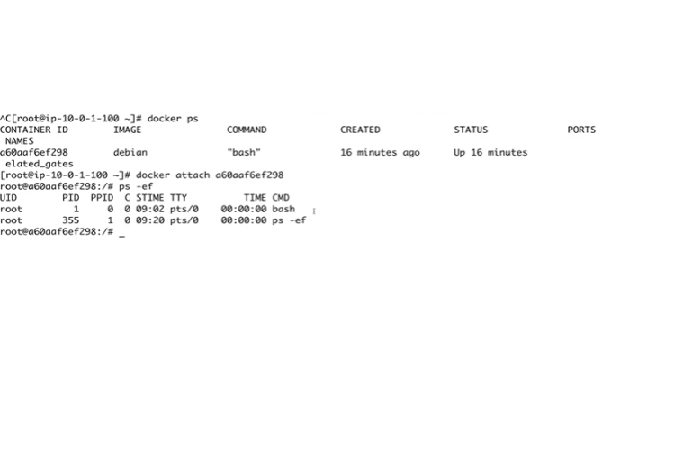 What is difference between docker attach and exec? | Bright Softwares What is difference between docker attach and exec? | Bright Softwares