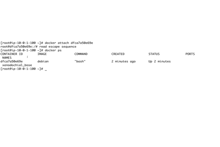 What is difference between docker attach and exec? | Bright Softwares What is difference between docker attach and exec? | Bright Softwares