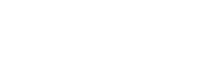 first ponies horsequest