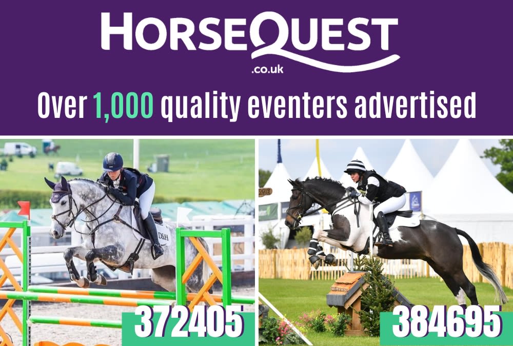 Series & Championships | British Eventing