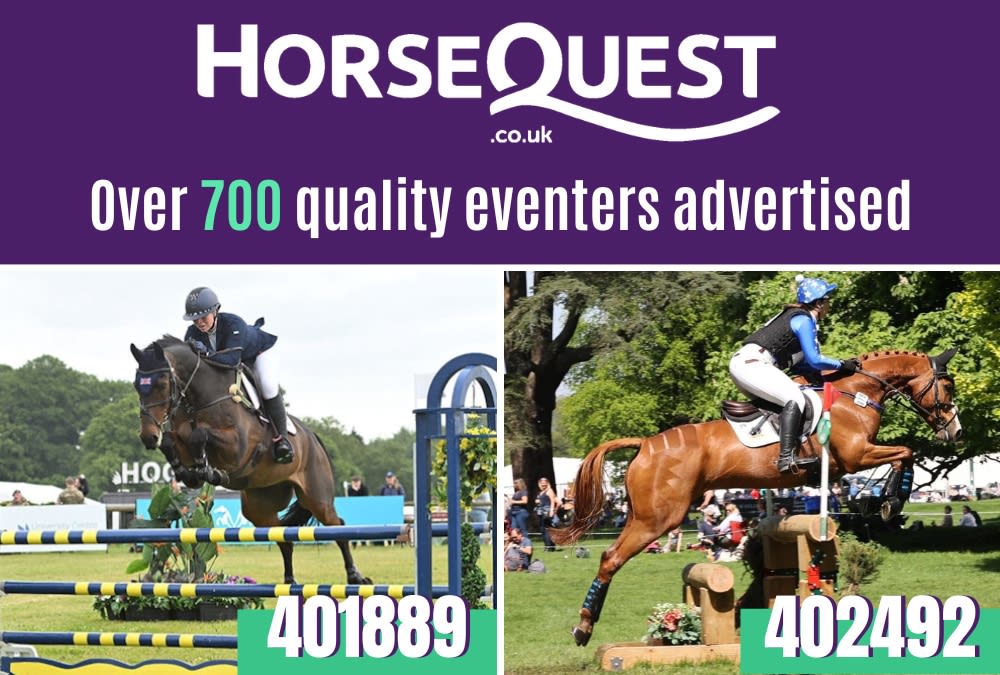 The competition levels | British Eventing