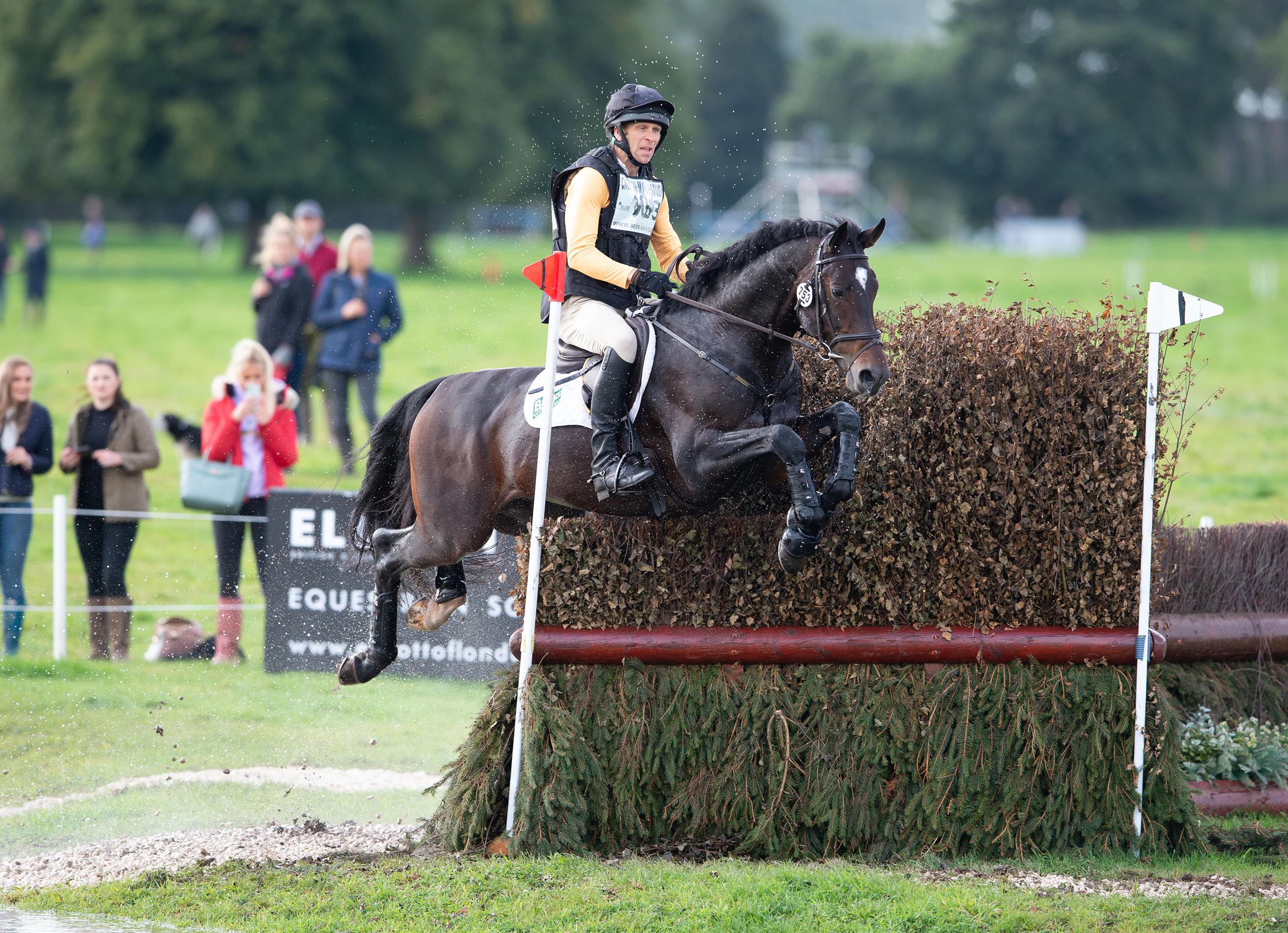 The Archie Legacy launched to remember horses lost in road collision ...