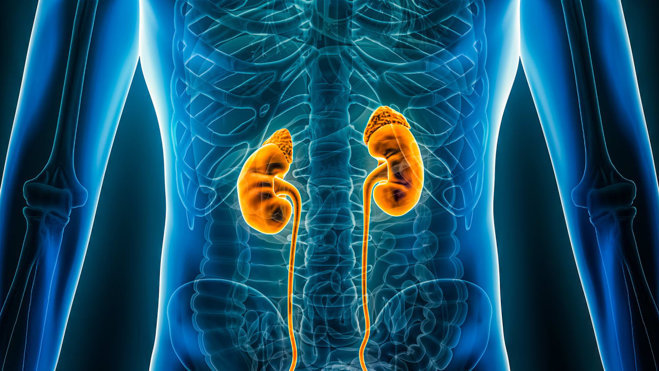 Acute Kidney Injury is not Associated with Worsening Kidney Function in Patients with Chronic ...