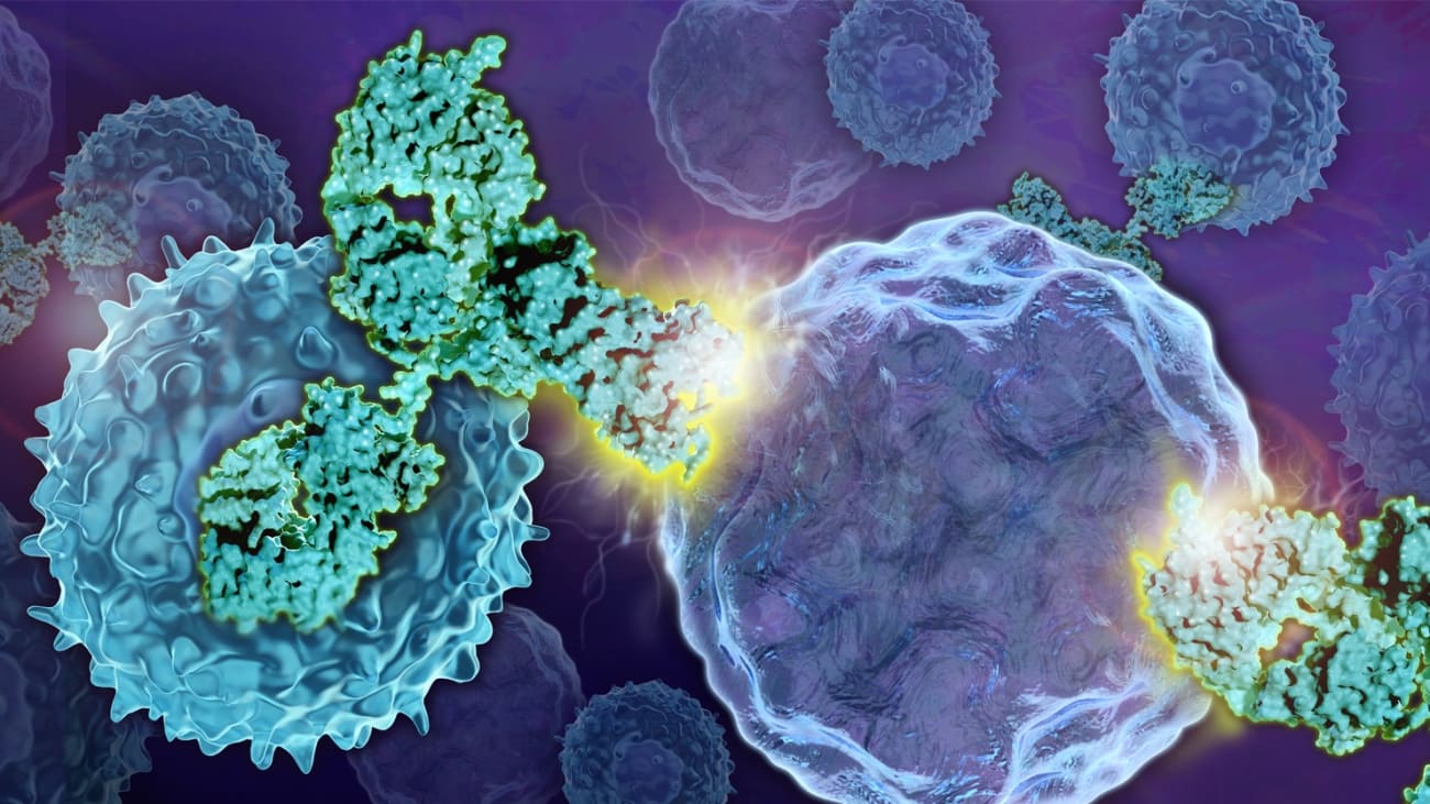 Bispecifics: A Molecular Missile That Labels Cancer Cells and Kills ...