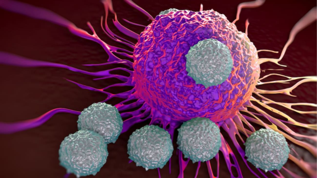 New CAR T-Cell Therapy Approved and Available at Roswell Park for ...