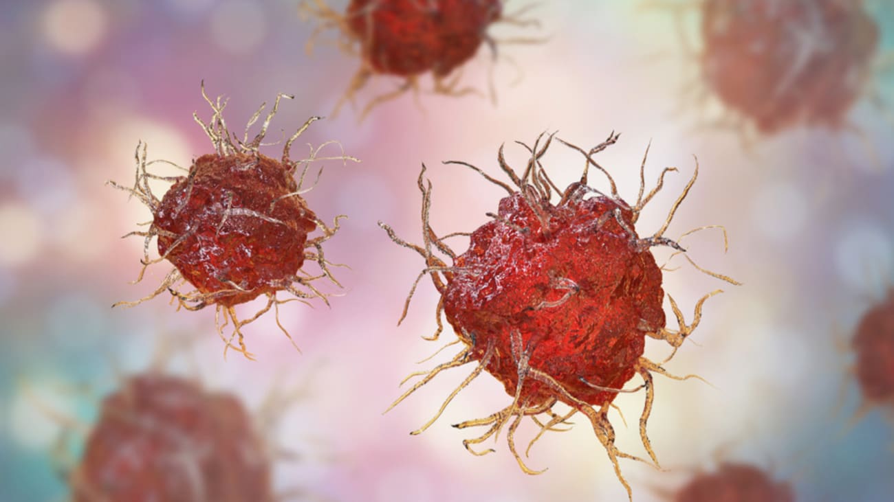 Strategy for Overcoming Resistance to Immunotherapy Unleashes Power of ...
