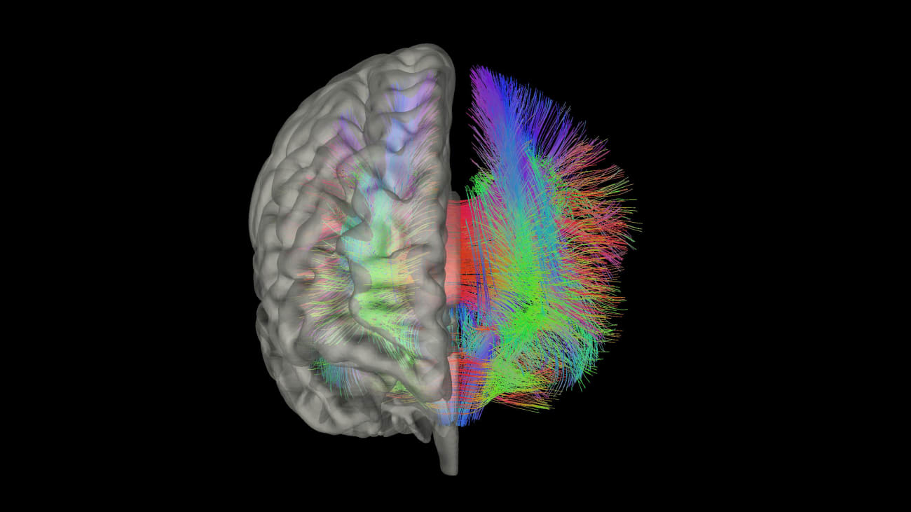Innovative clinical neurotechnology trials to improve neurological and ...