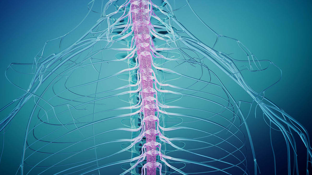 The Power of An Integrated Spine Care Mission - UT Southwestern Medical ...