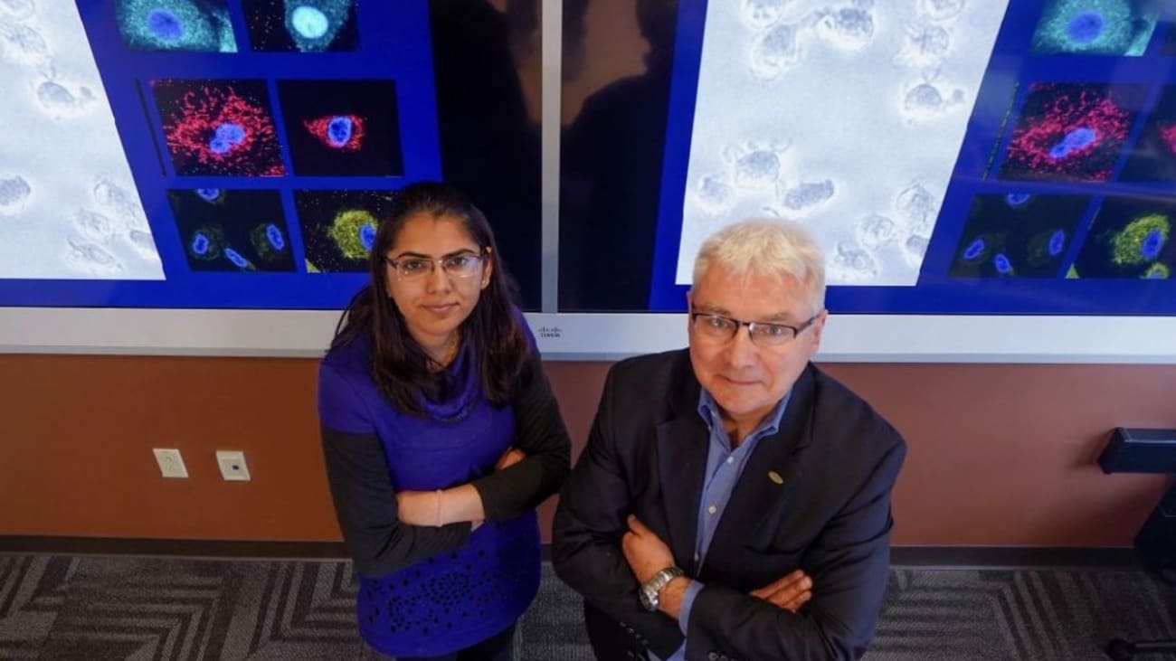 Novel Immunotherapy Approach at Roswell Park Shows Promise in ...